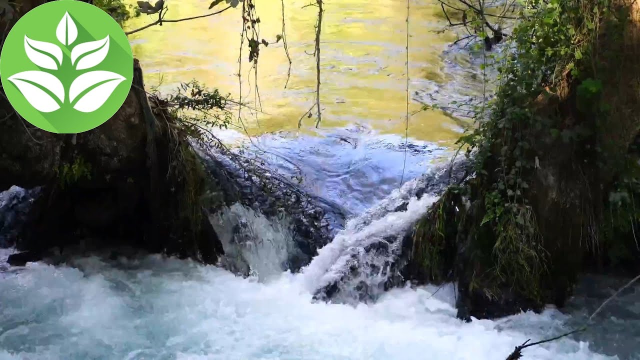 Bright river in the forest. [10 hours] River sounds (White noise for ...