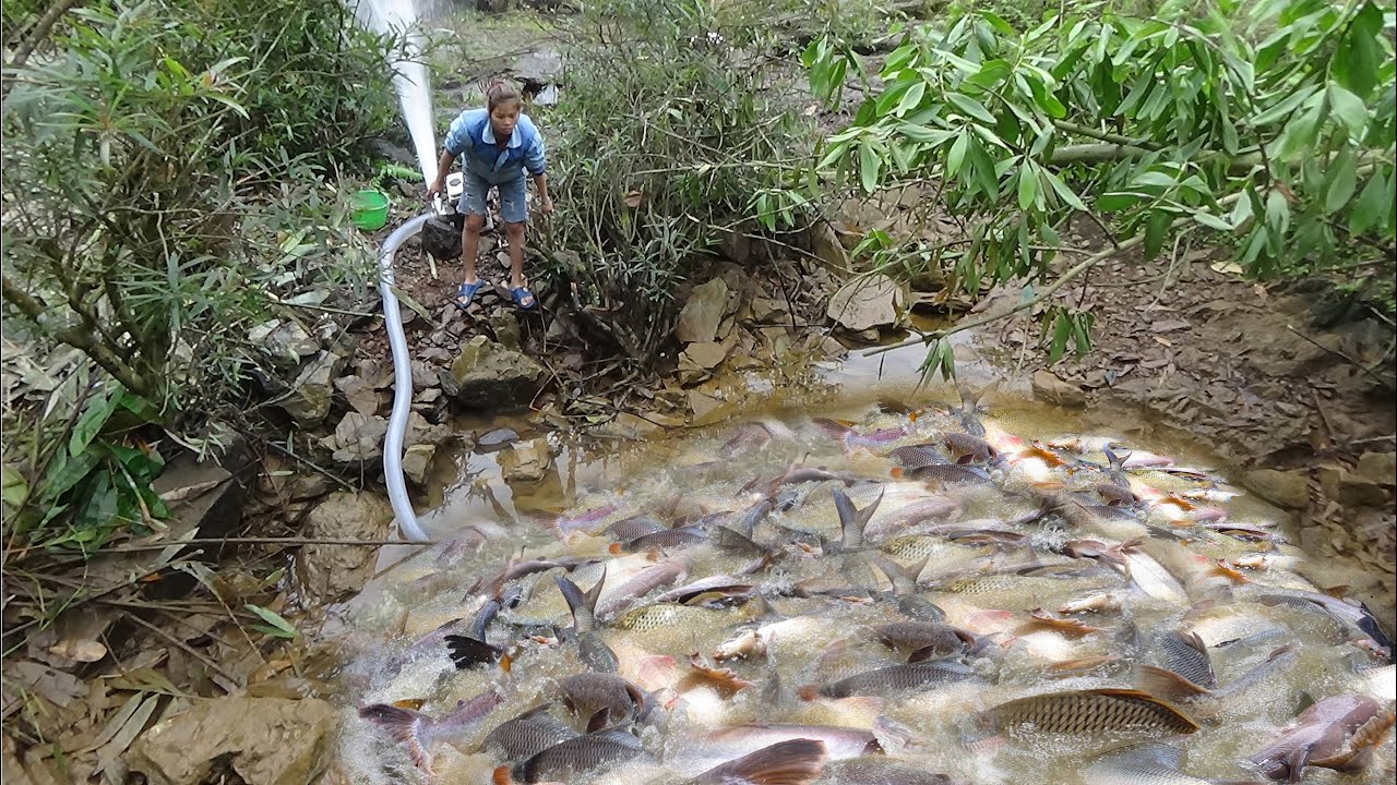 Wild Fishing | Super technology catch fish - Fishing techniques | Super ...