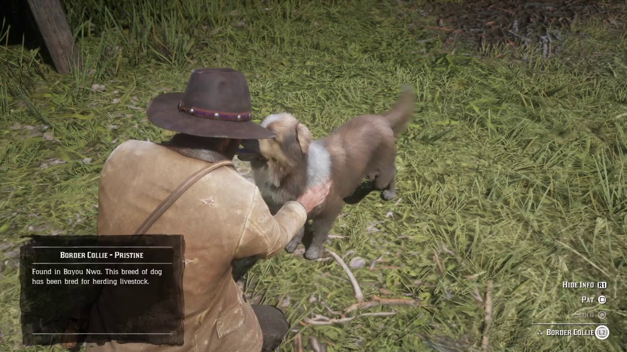Red Dead Redemption 2 - I petted a doggie - YouTube