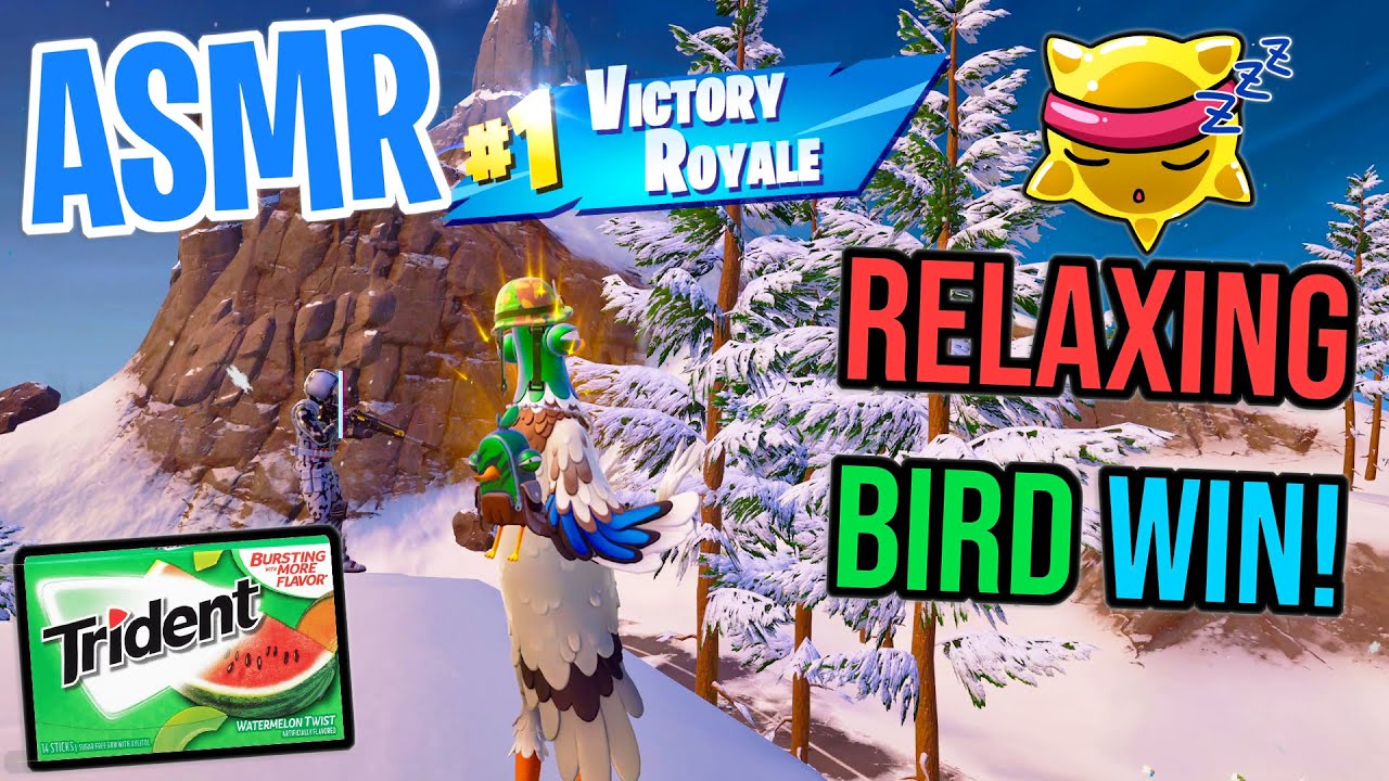 ASMR Gaming 😴 Fortnite Relaxing Bird Victory! Gum Chewing 🎮🎧 Controller ...