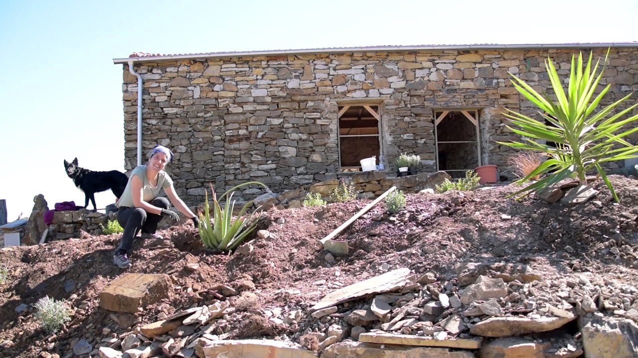 #40 Planting a mediterranean garden around our italian stone house ...
