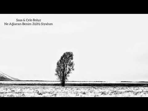 اجمل اغنيه#Sasa & Celo Boluz - Ne Ağlarsın Benim Zülfü Siyahım