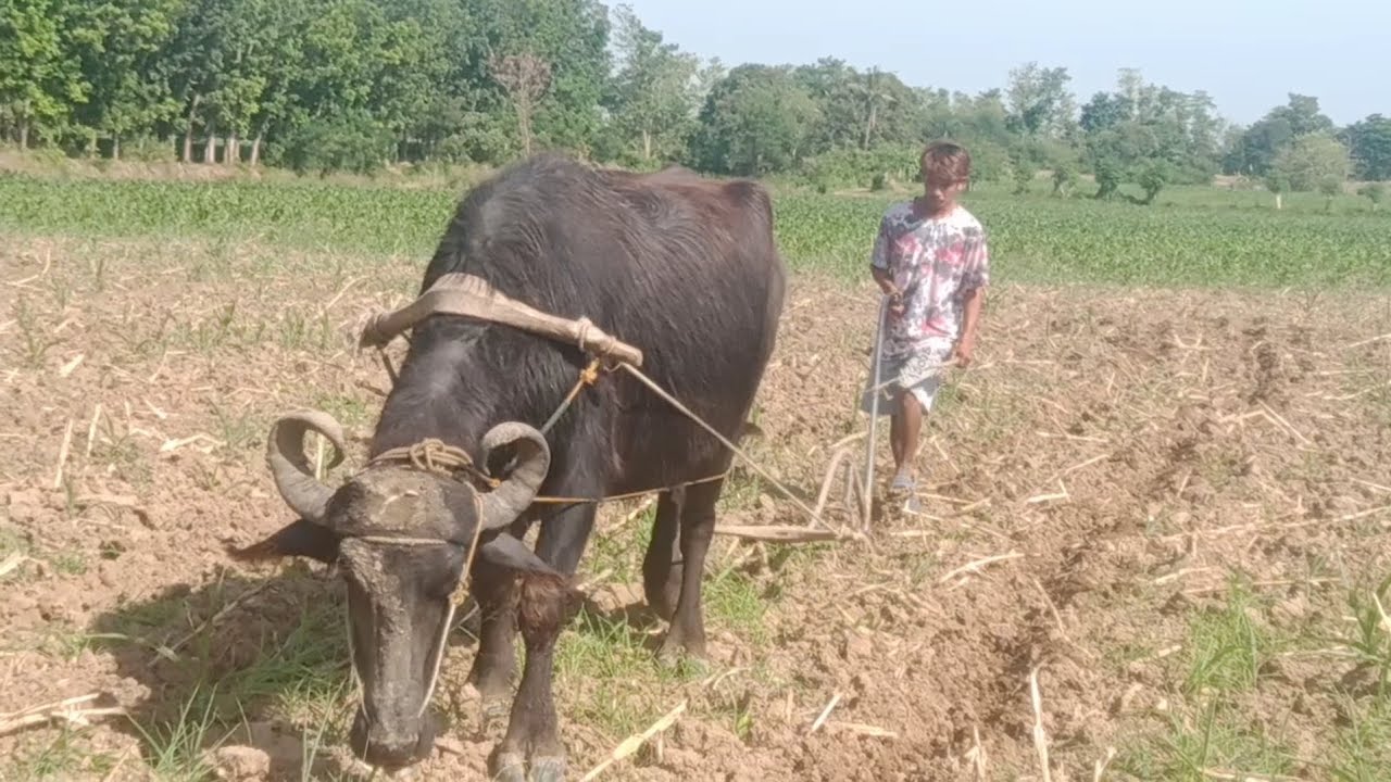 PAG PRAPRACTICE NG PAG AARARO - YouTube