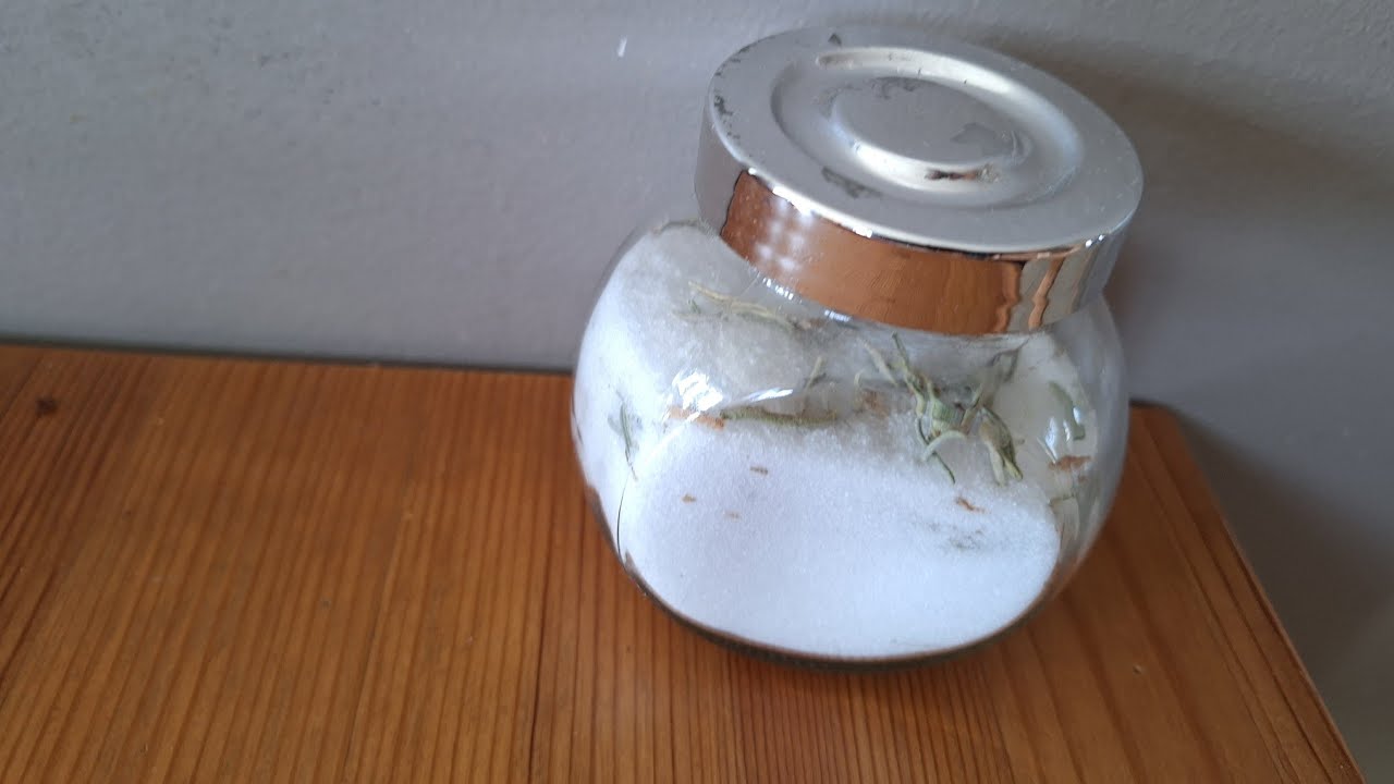 How to prune your lavender plant & make a lavender salt. - YouTube