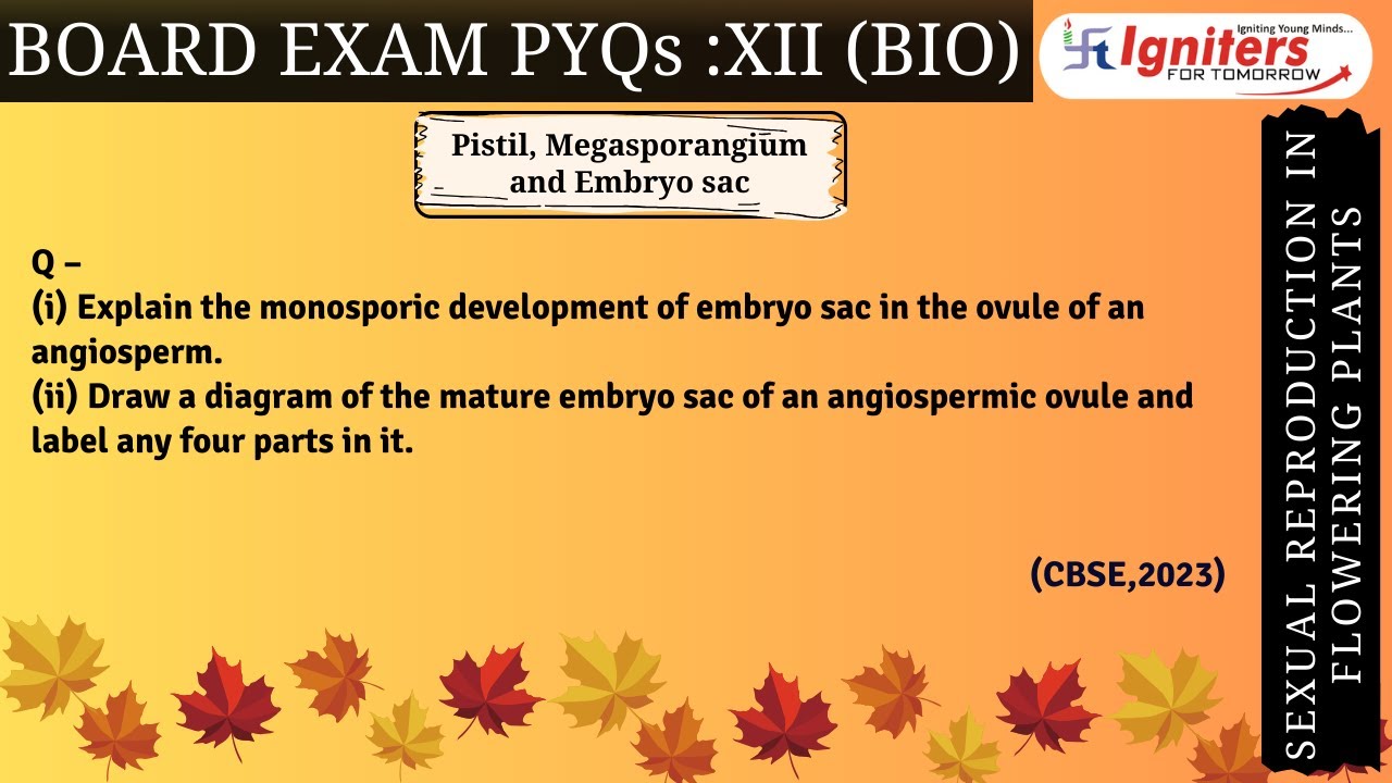 Explain The Monosporic Development Of Embryo Sac In The Ovule Of An