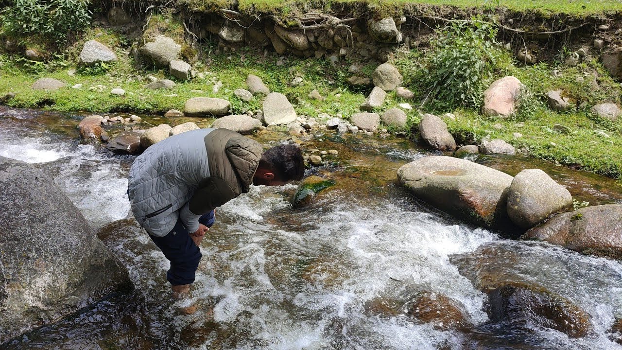 Enjoying the beauty of nature| natural beauty| reshwari |# ...