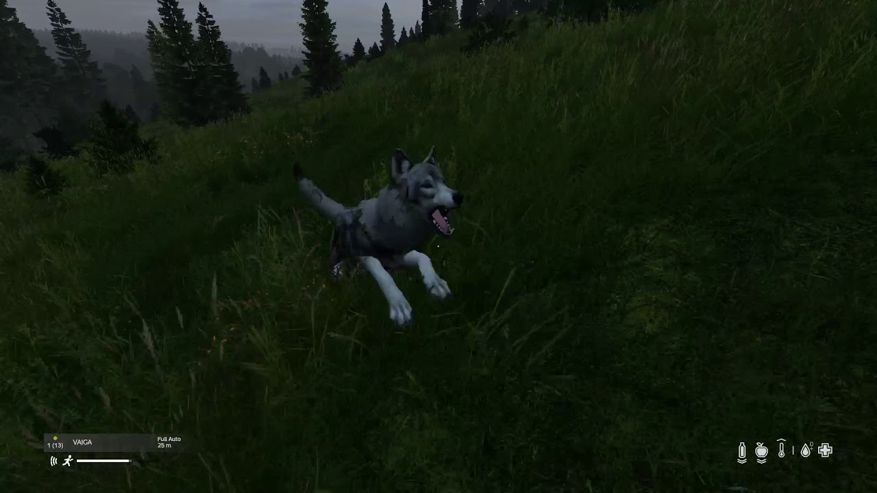 DayZ-Dancing with Wolves - YouTube