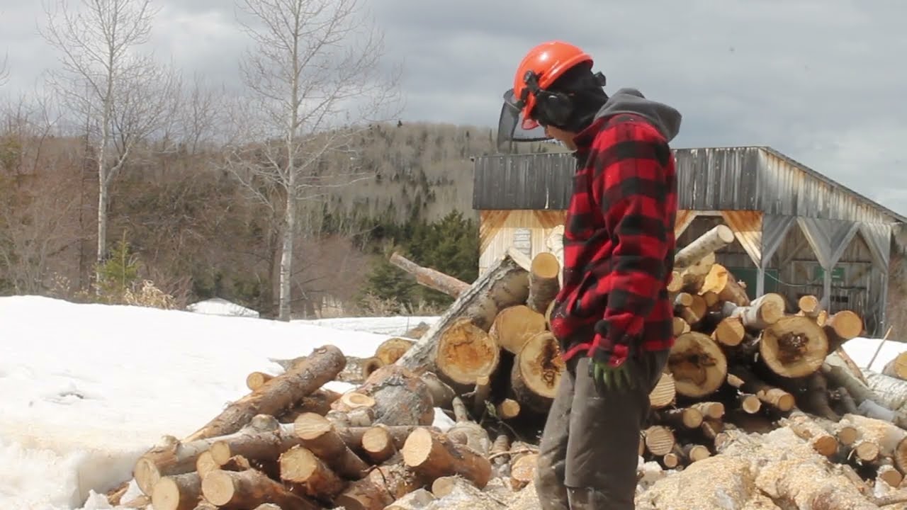 Débitage de bois de chauffage au jardin des défricheurs. Avril 2022 ...