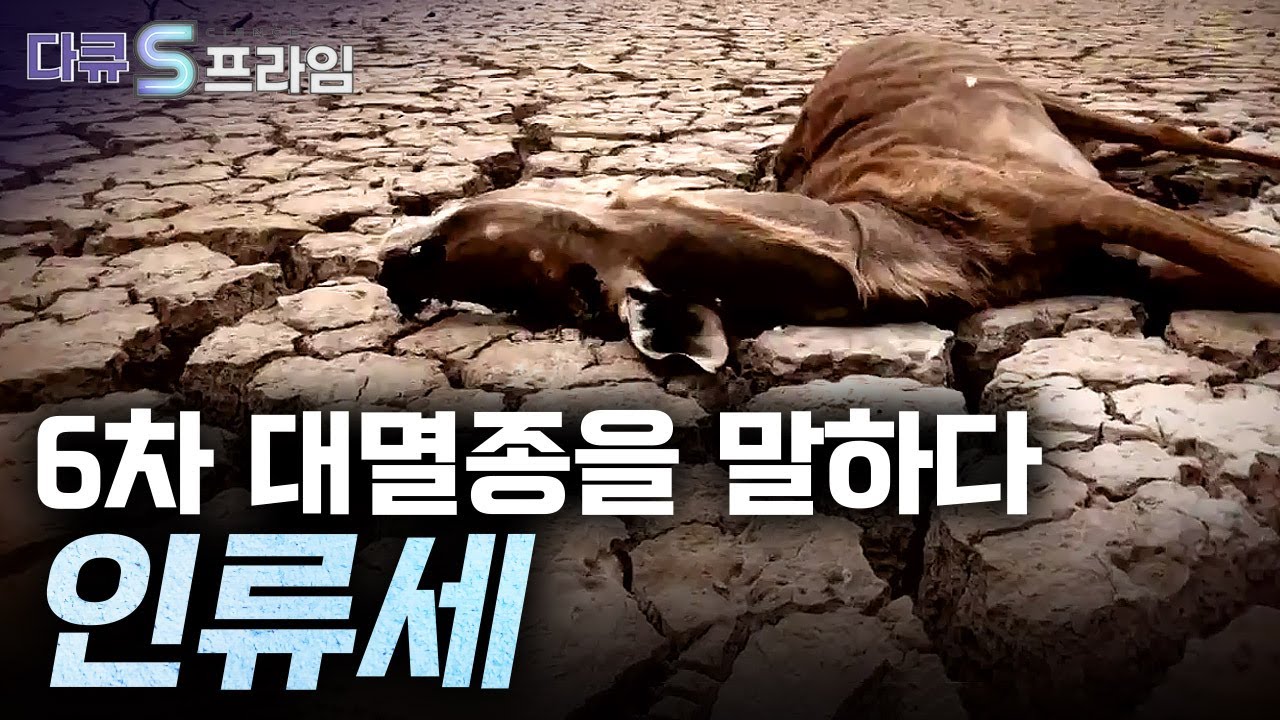 다큐s프라임 인류는 지구의 환경을 어떻게 바꾸어 놓았을까 Ytn 사이언스 Youtube