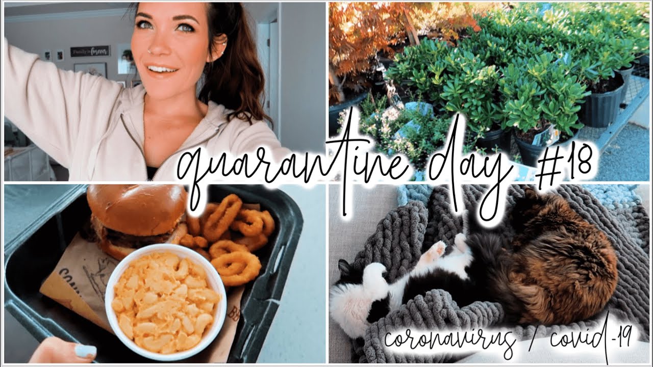 QUARANTINE DAY #18 || full day of filming & editing #youtubelife ...