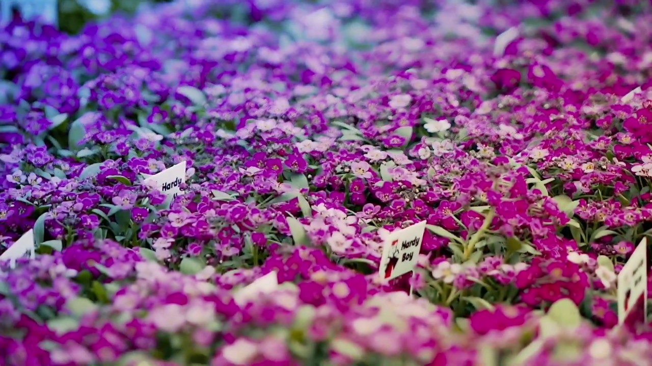 Nick's for Spring Planting - YouTube