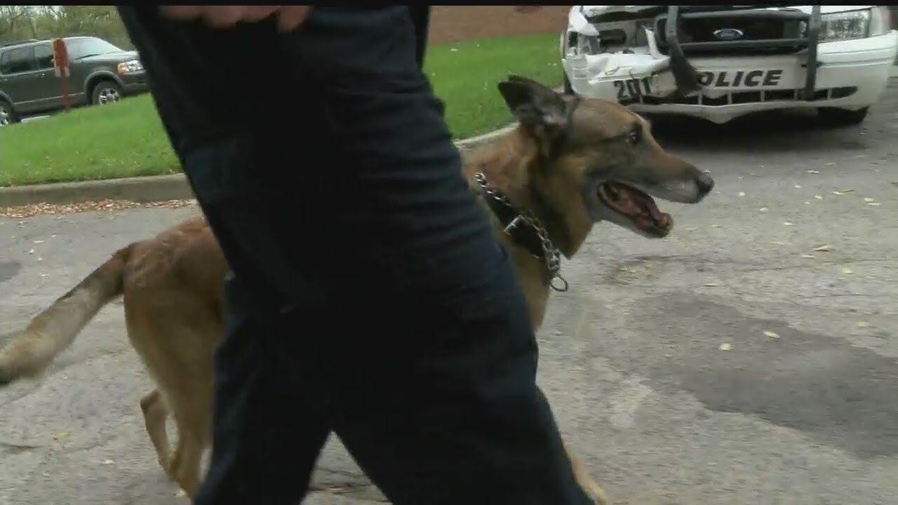 Local police department announces death of retired K-9 - YouTube