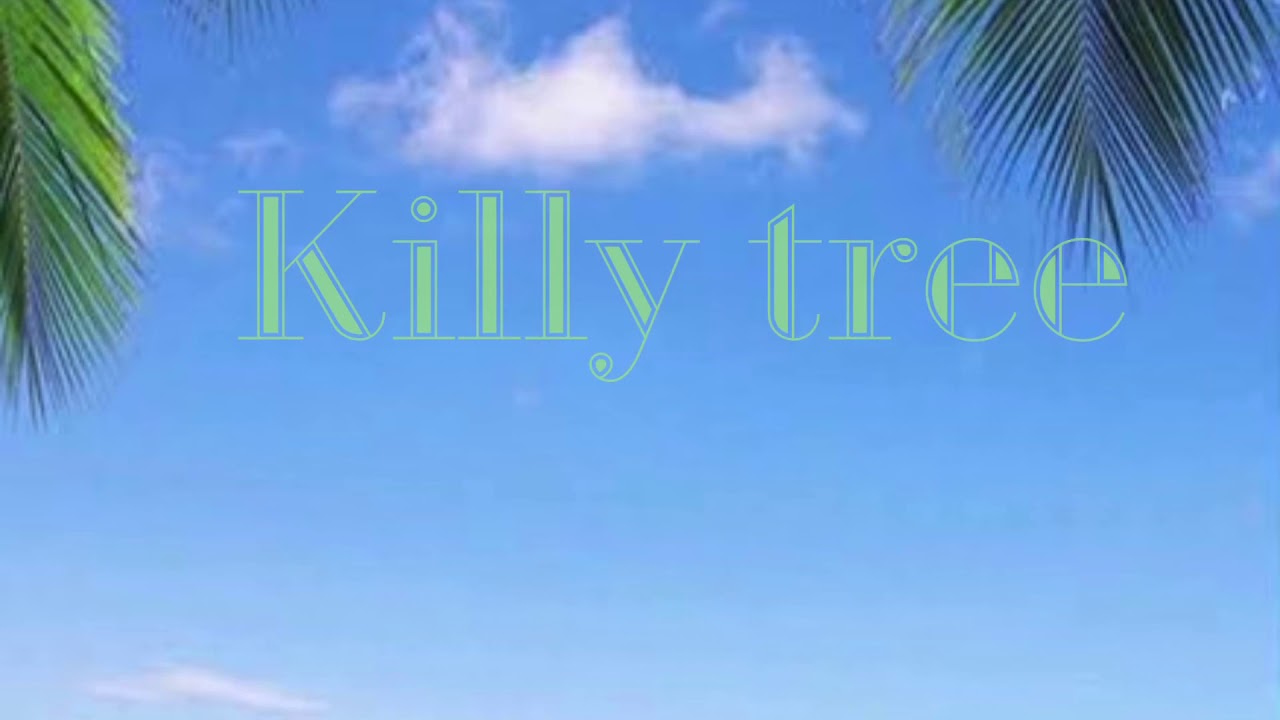Killy tree - Freestyle - YouTube