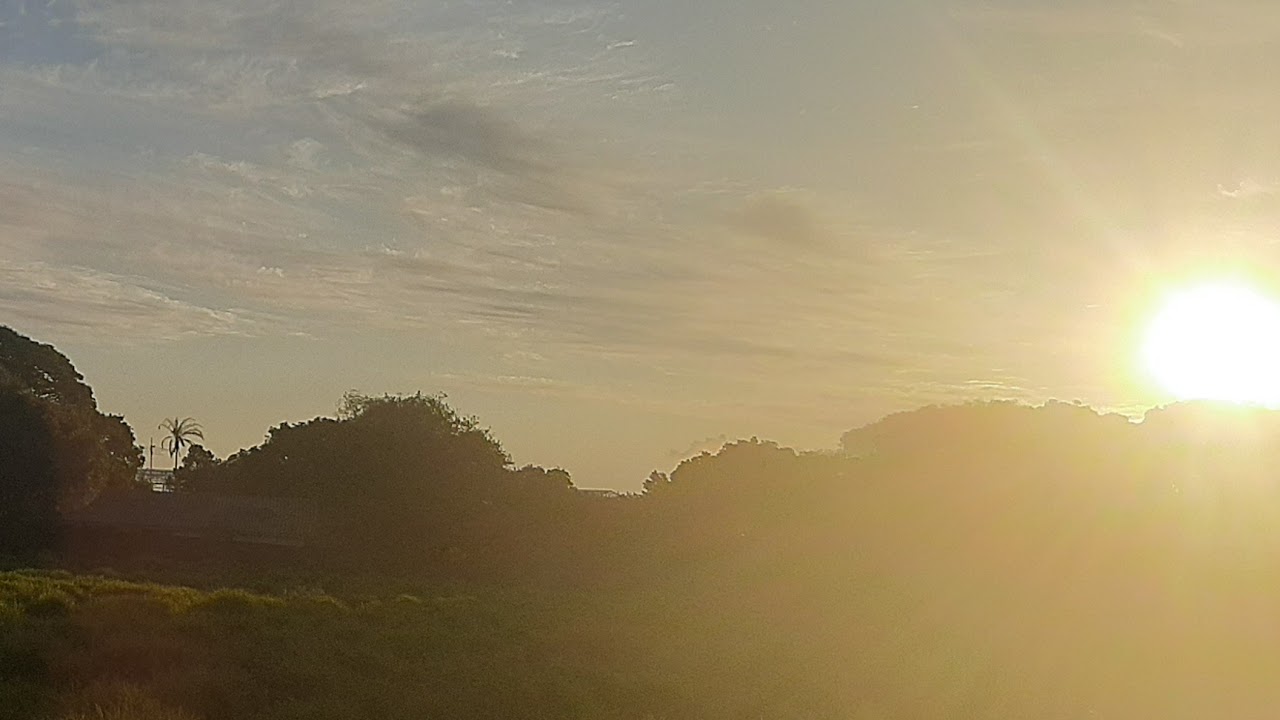 Transmissão ao vivo de Laura Texeira - YouTube