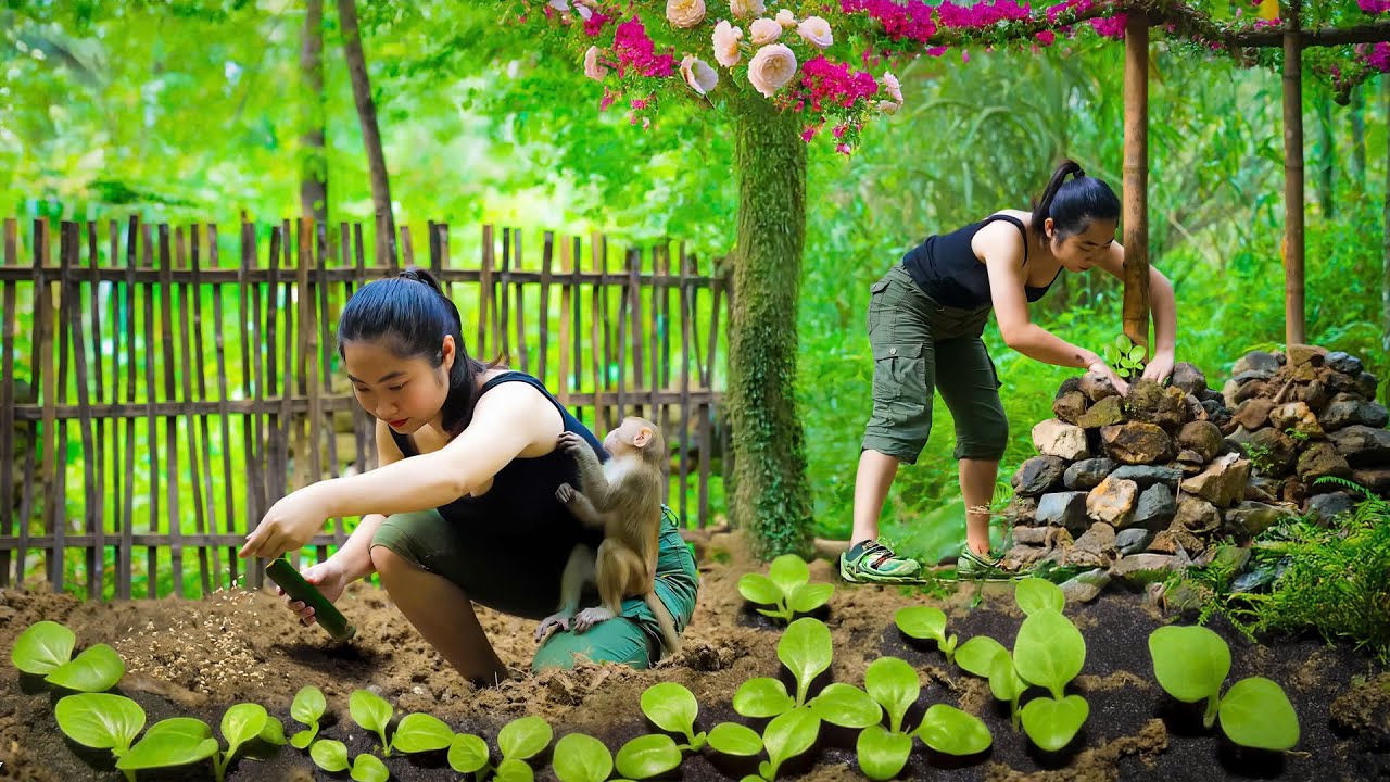 Revisiting The Old Bamboo Cabin - The Strength Of A Young Lady - Solo ...
