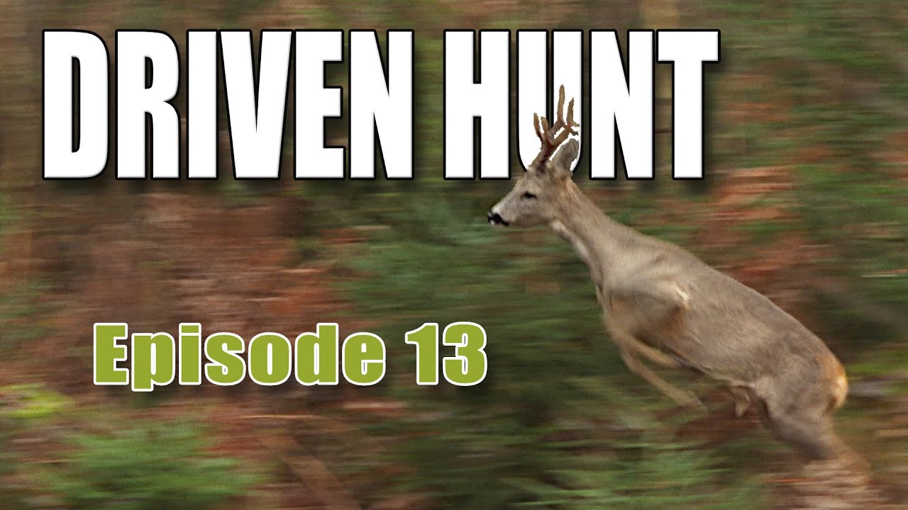 DRIVEN HUNT EPISODE 13 - A lot of action in Southern Sweden - YouTube