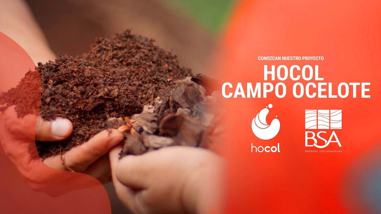 🌱Conozcan nuestro proyecto Hocol Ocelote - BSA - YouTube