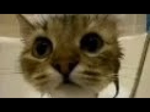 CİDDEN ÇOK İYİ SJSJSJSJSJSJSJSJSJ