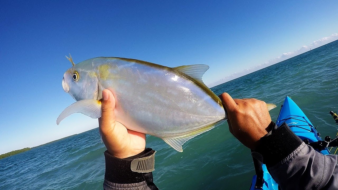 Key West Kayak Fly Fishing - Fun Day Fly Whipping - YouTube