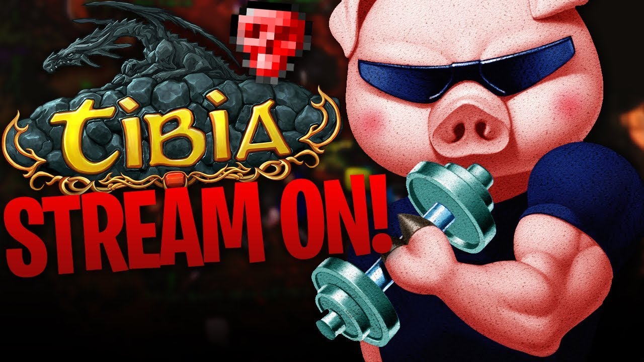 Wybaczcie ze Znowu Gram xD 🐷 Questy🐷 Tibia Damora 445ms - YouTube