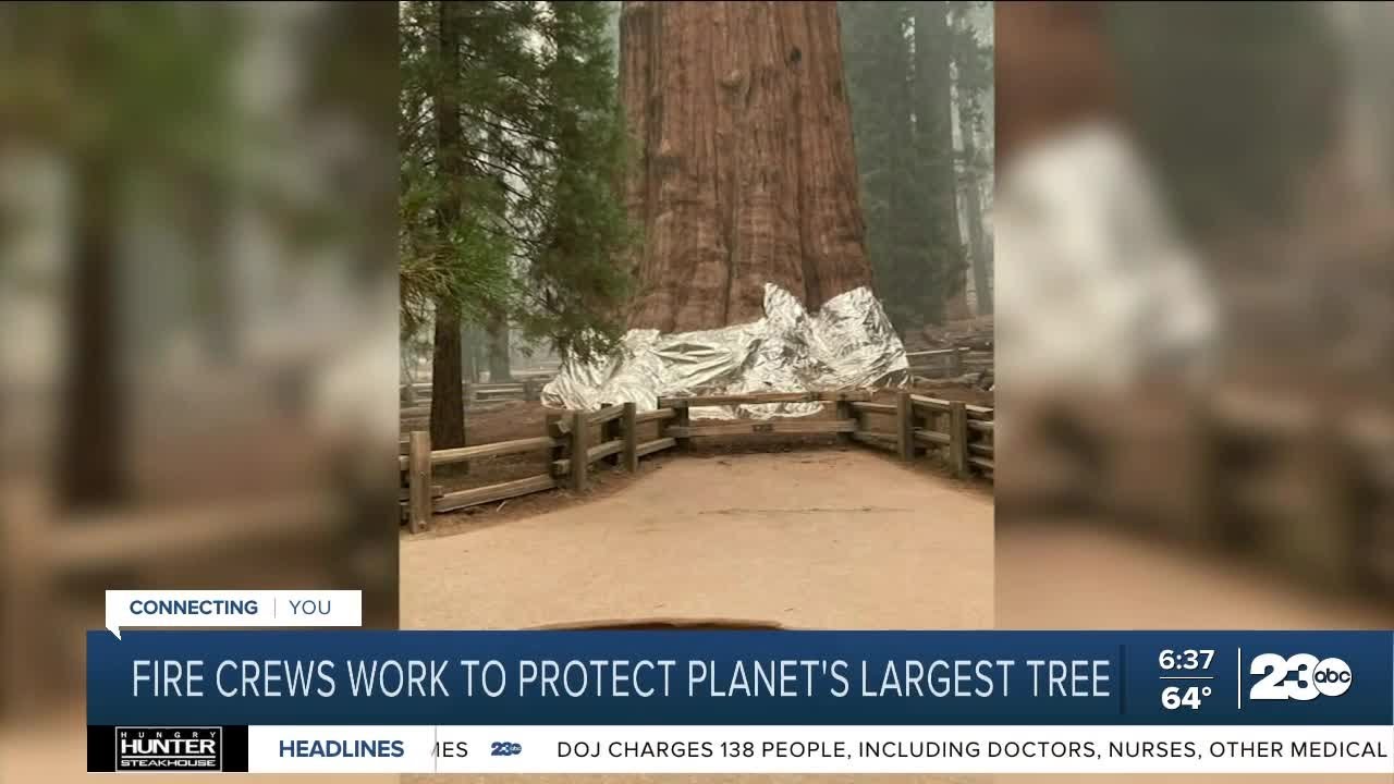 Crews battle KNP Complex Fire in Sequoia National Forest - YouTube