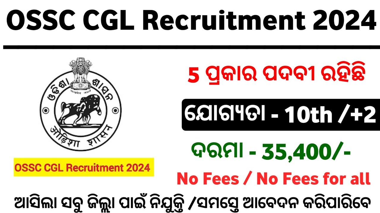 OSSC CGL Recruitment 2024 ! Apply Online For GST Officer, Auditor And ...