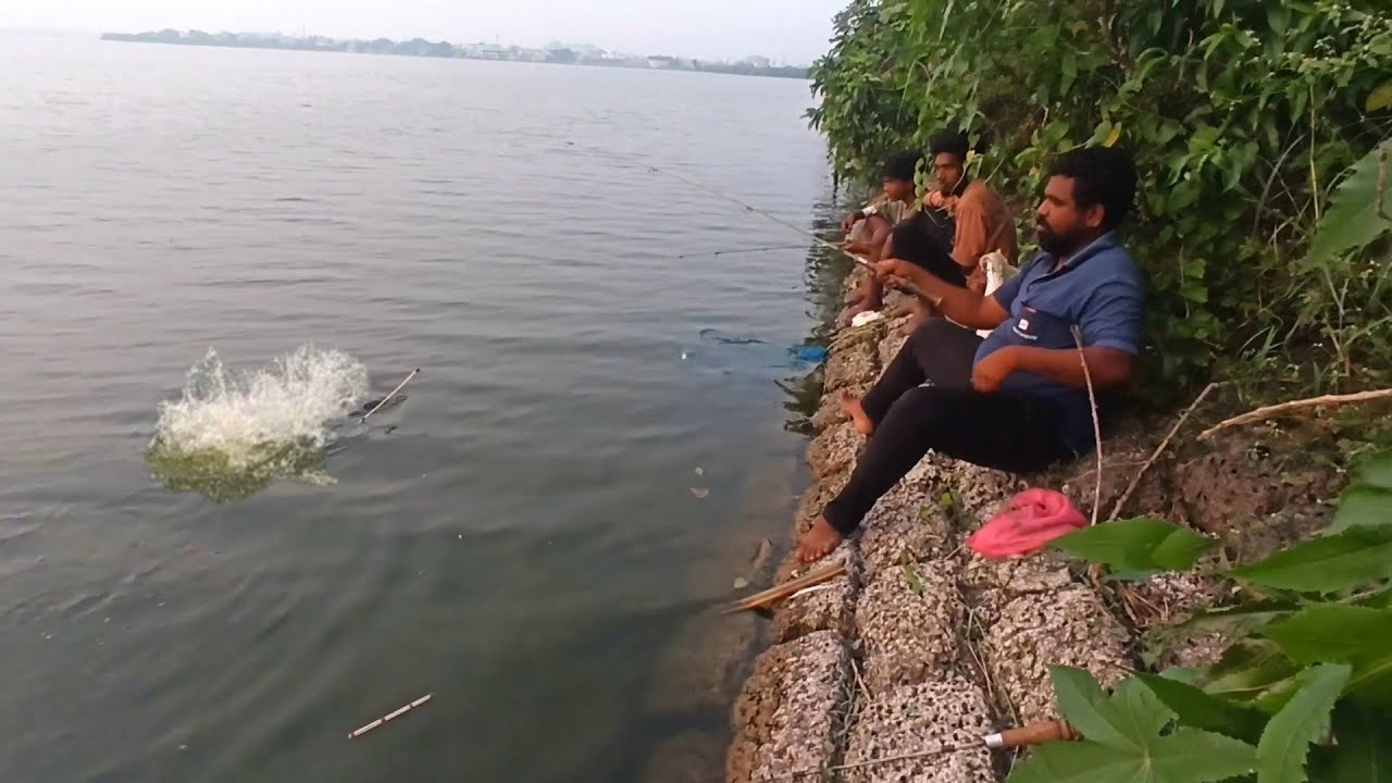 Big Size SILVER Tilapia Fishing in Lake | Most Risky Hook Fishing by ...