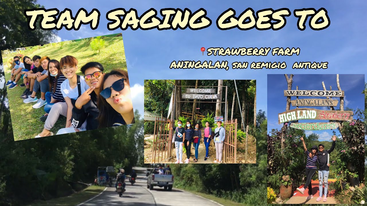 Strawberry farm Aningalan, San Remigio Antique(w/TEAM SAGING) - YouTube
