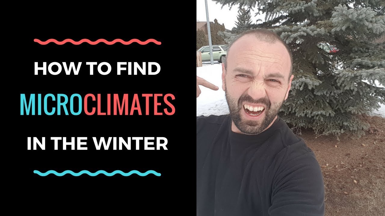 How You Can Find Incredible Microclimates + Introduction to ...