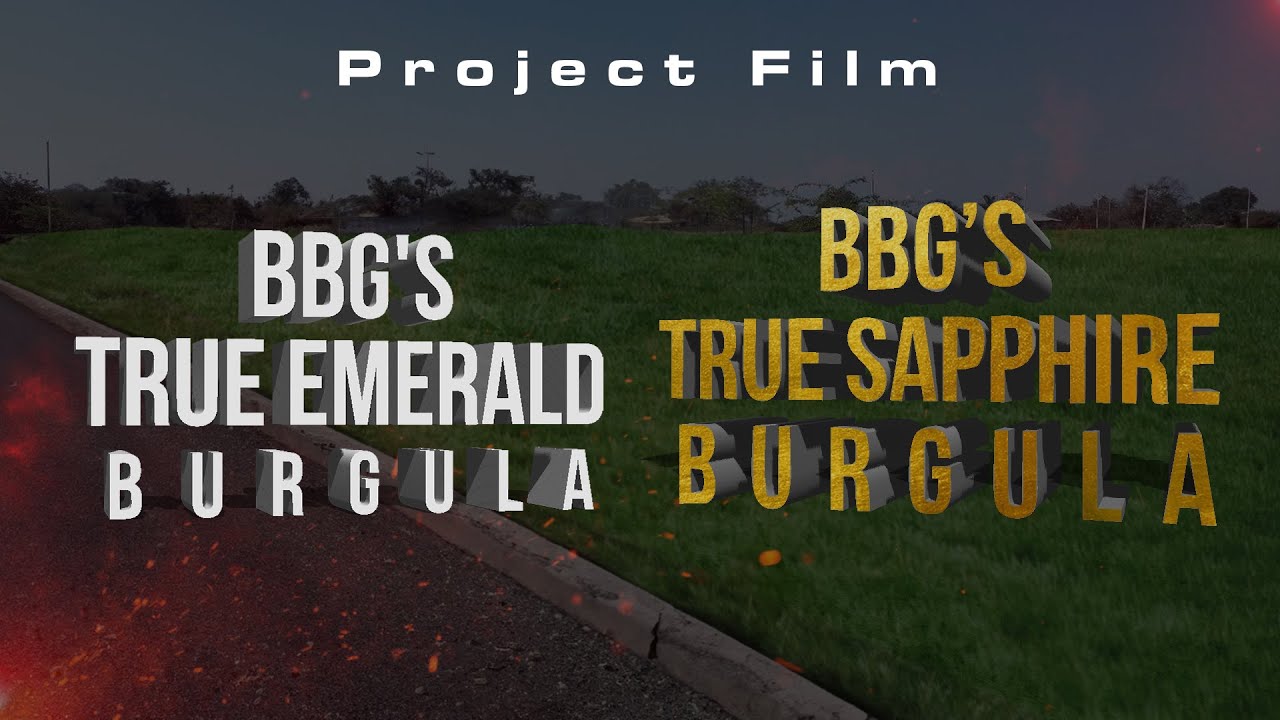 Discover BBG's True Emerald Burgula and True Sapphire Burgula | Shad Nagar || Hyderabad - YouTube