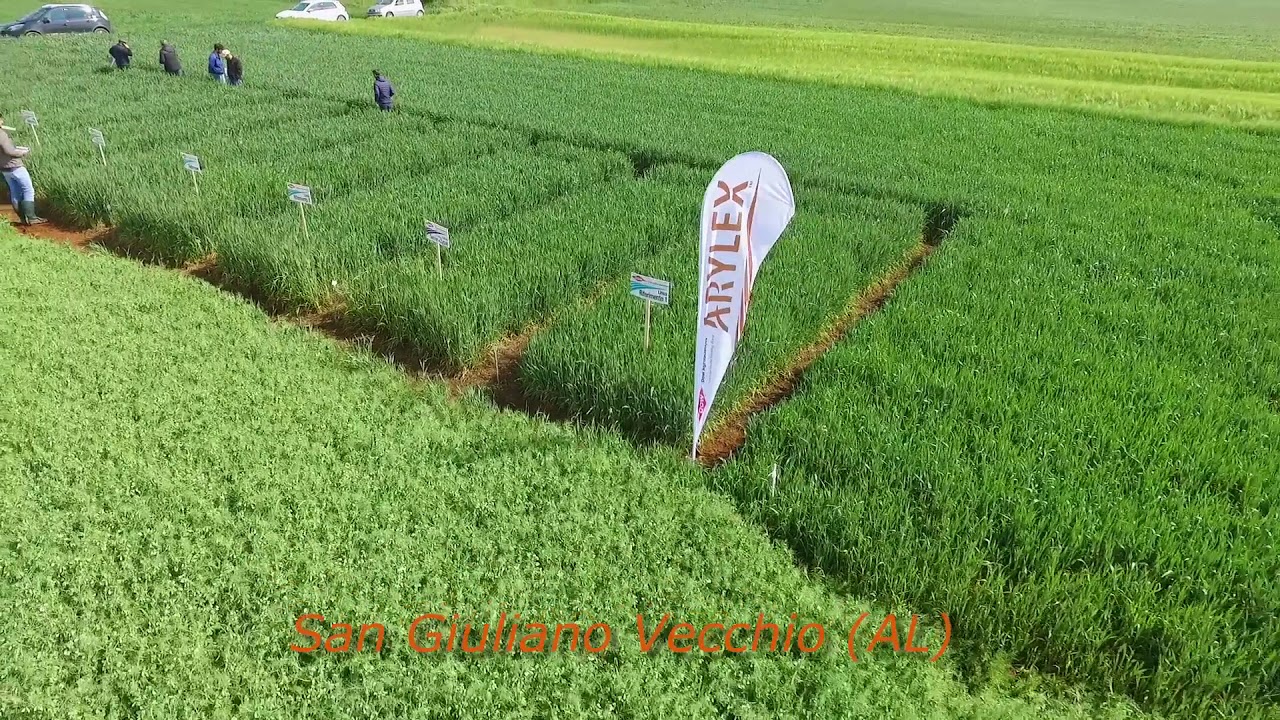 Zypar in campo 2018 - YouTube