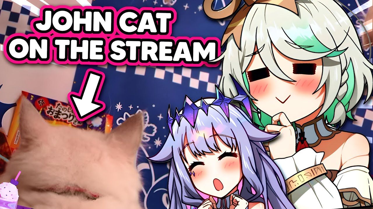 John Cat Loves Ceci MORE Than Everybody Else! Even Biboo?! - YouTube