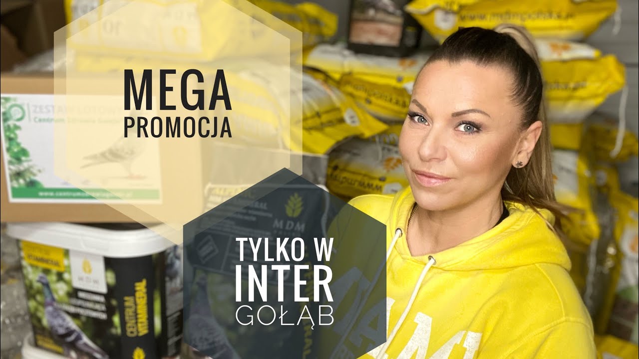 SUPER PROMOCJA na karmy, tylko w INTER GOŁĄB 🕊️👍 - YouTube