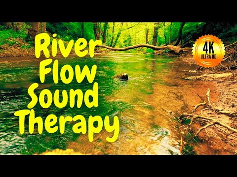 River Flow Sound Therapy - YouTube