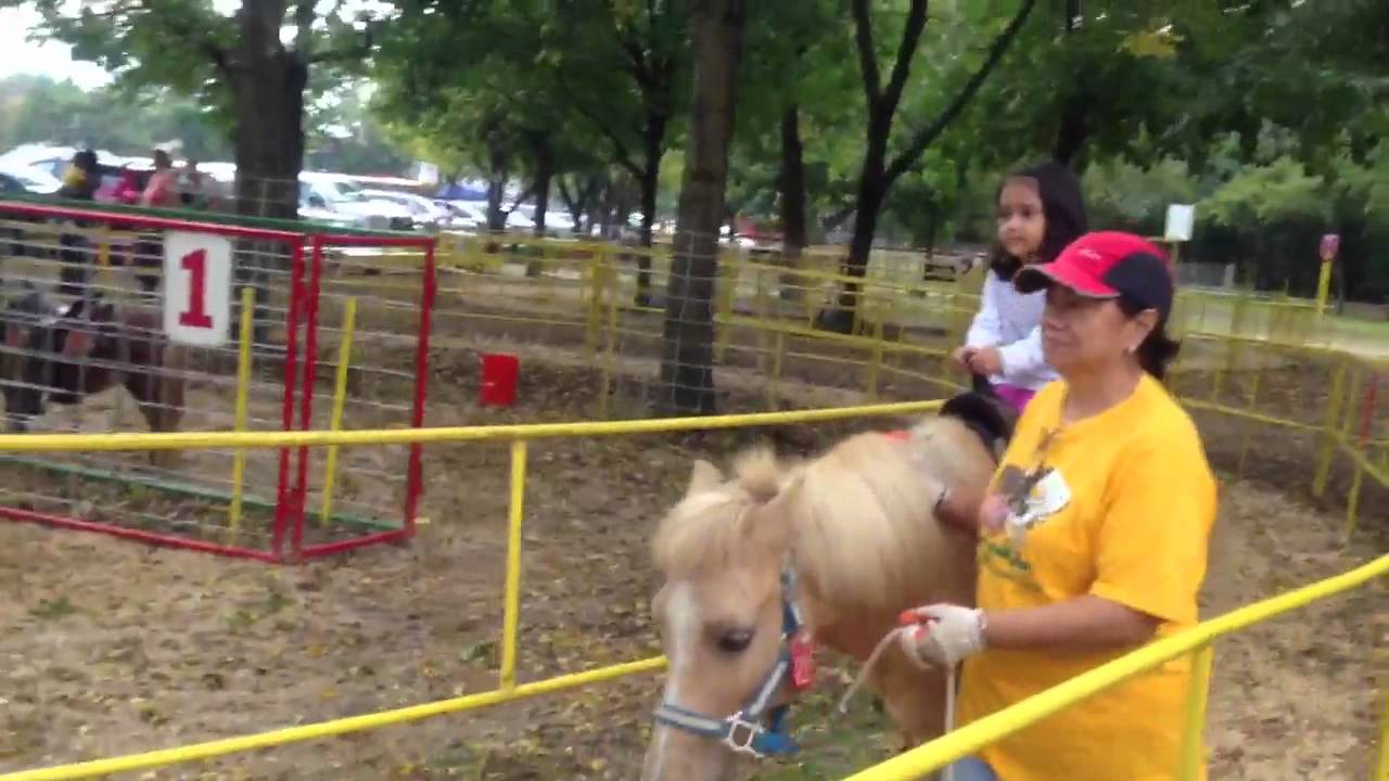 Layla on a pony ride :) - YouTube
