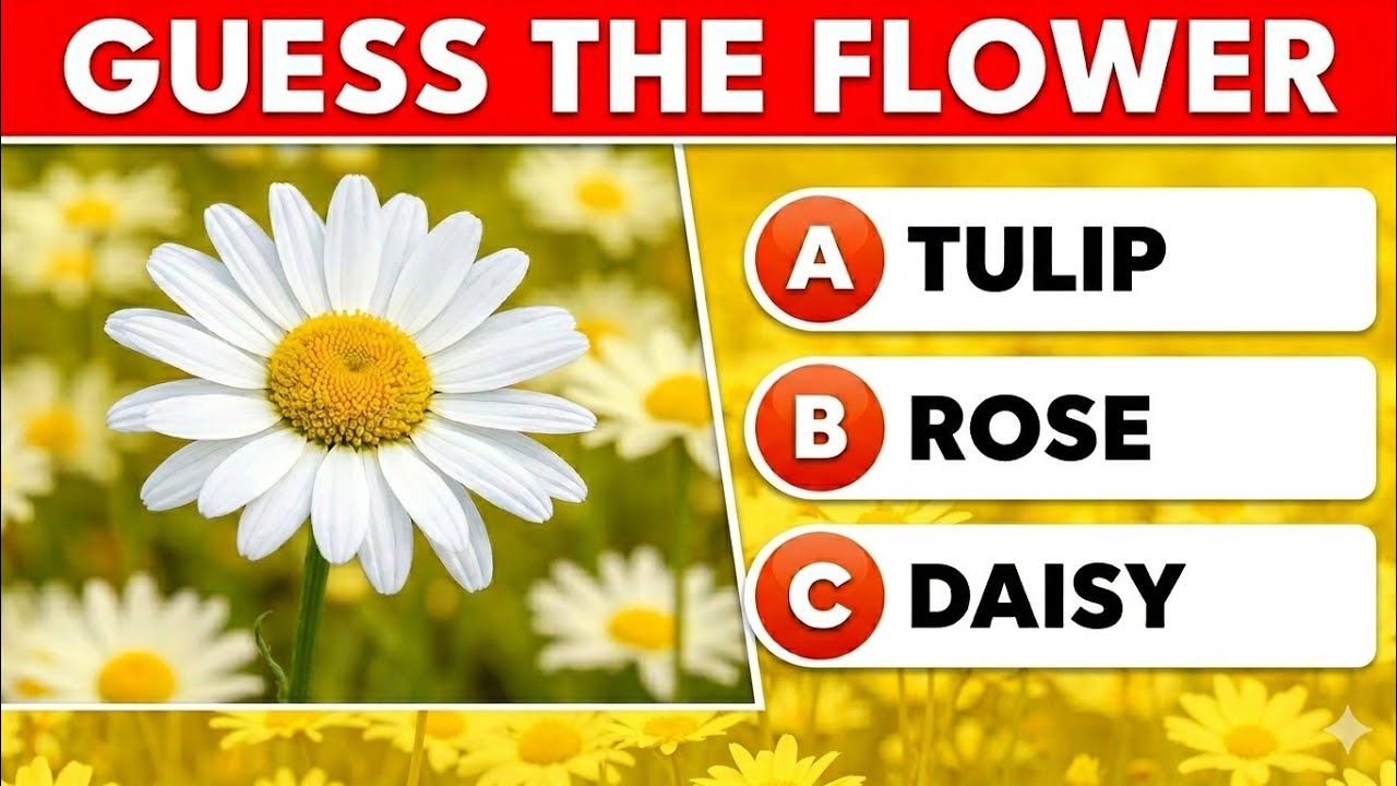 Guess the Flower🌷🌻 I Flower Quiz - YouTube