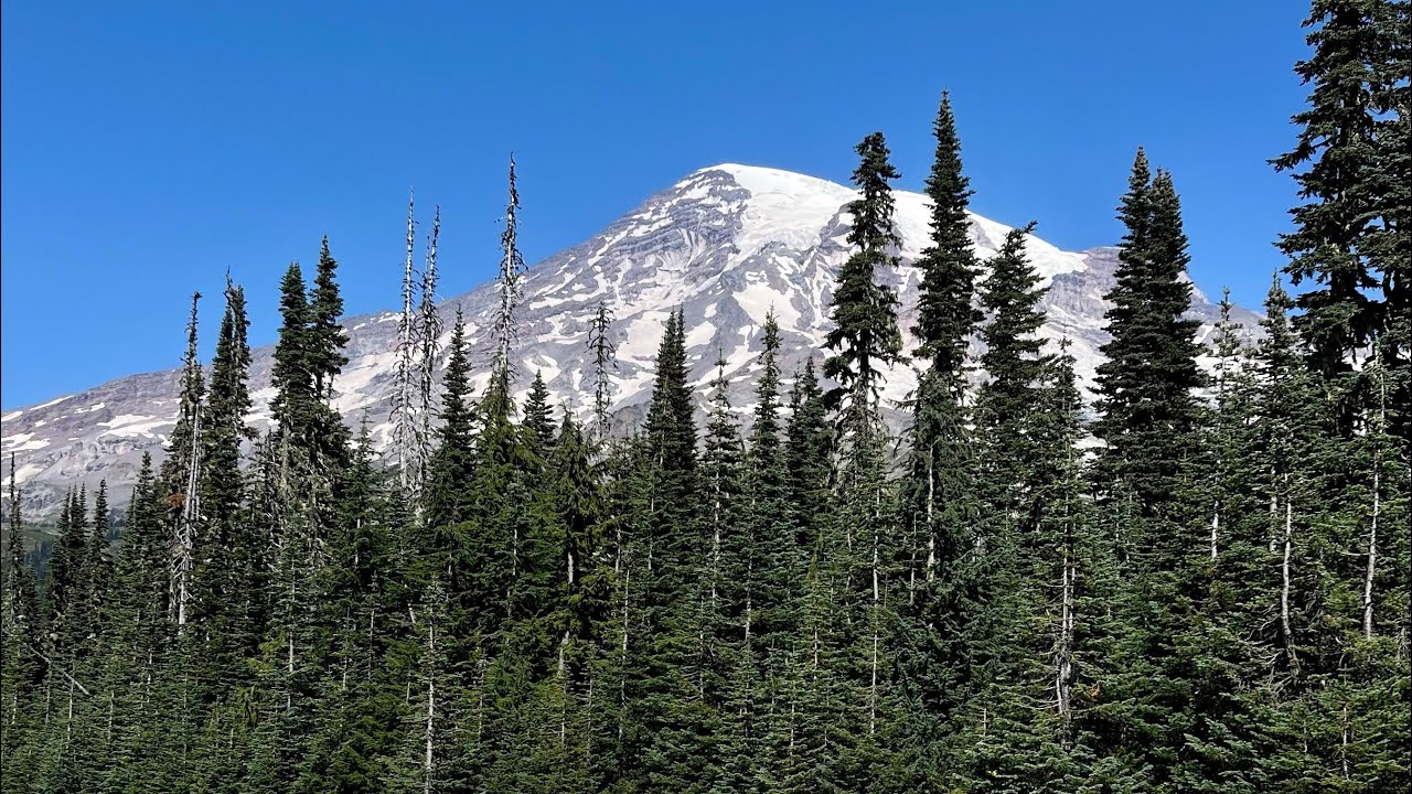 Day Trip to Mount Rainier in November. - YouTube