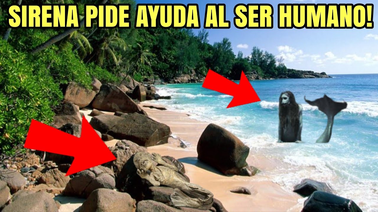 SIRENA REAL CAPTADA!!!TIENES QUE VER ESTO!EL CANTO DE LAS SIRENAS?PARTE ...
