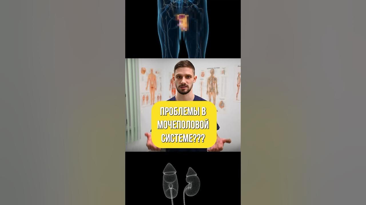 ОТ ЧЕГО проблемы в МОЧЕПОЛОВОЙ системе? - YouTube