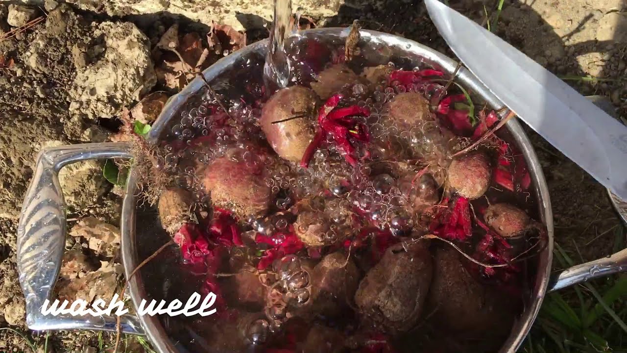 Primitive decor fall harvest of How to Beets - YouTube
