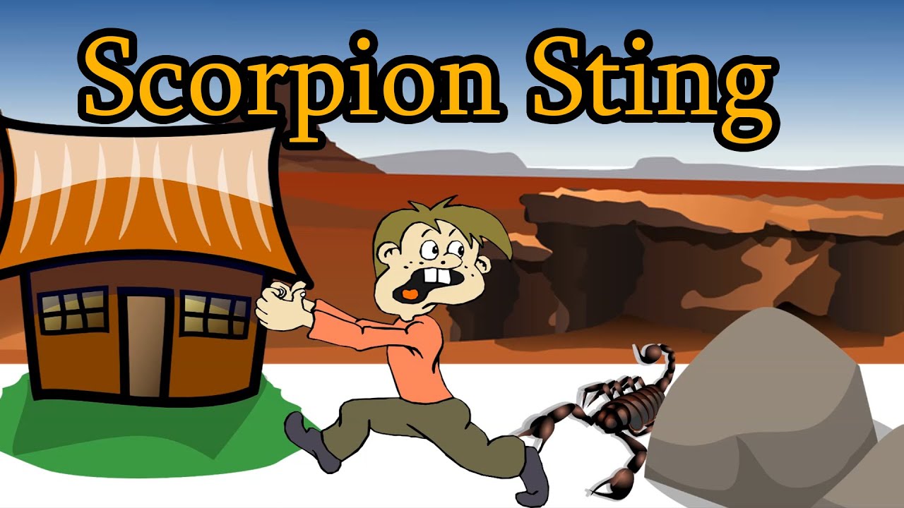 Scorpion sting - symptoms and treatment - YouTube