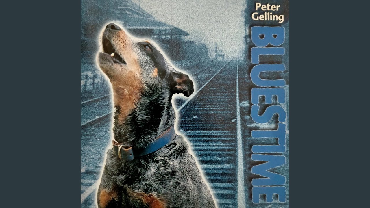 Blues Singing Dog - YouTube