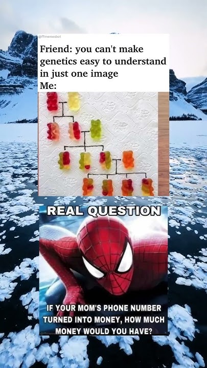 Using gummy bears to explain genetics - YouTube