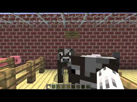 Pet Topia: Minecraft Pet Store and Pet Supplies - YouTube
