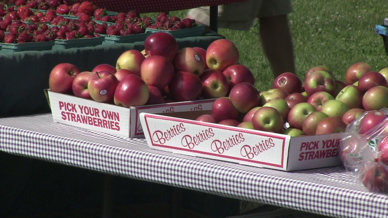A Look At Burlington Farmers Market 2017 - YouTube