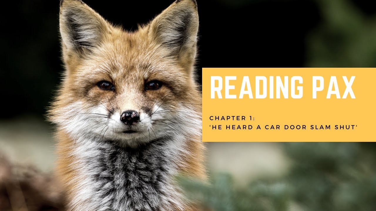 Reading Pax - Chapter 1 - YouTube