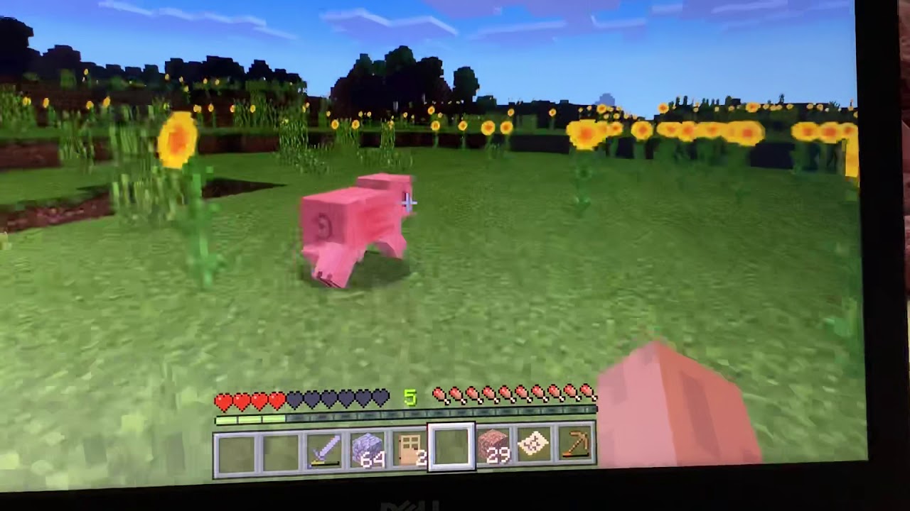 Eating pork chop in front of a Pig in Minecraft **sorry vegans** - YouTube