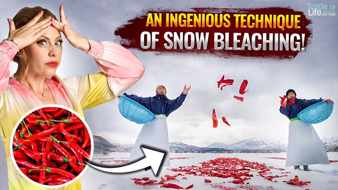 An ingenious technique of snow bleaching! How do the Japanese make the ...