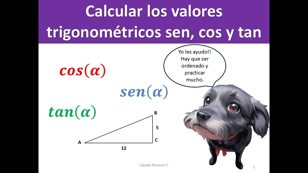Calculo de seno, coseno y tangente en triangulo rectángulo. - YouTube