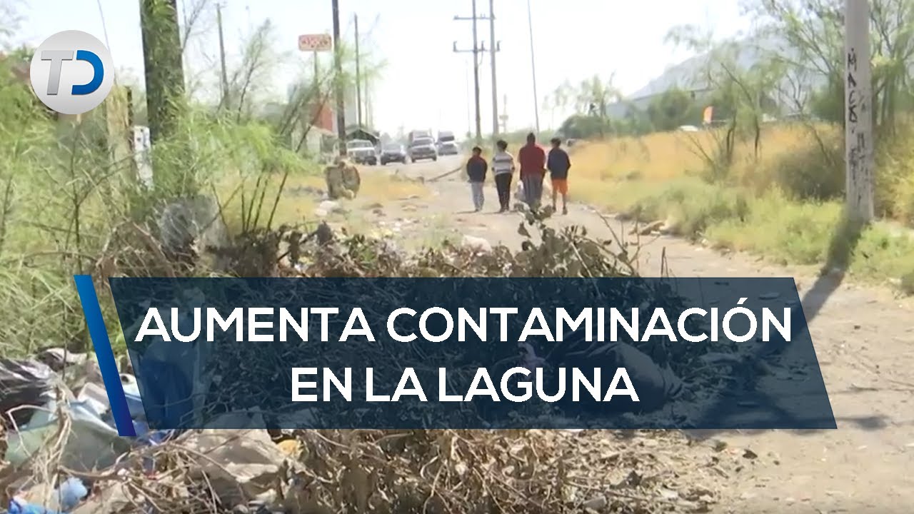 Aumentan casos de contaminación de La Laguna - YouTube
